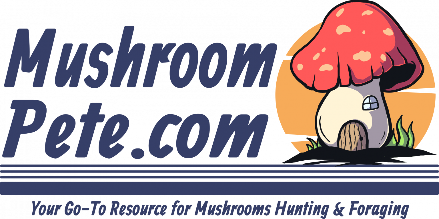Missouri Morel Map: Your Guide to Prime Hunting Spots - MushroomPete.com